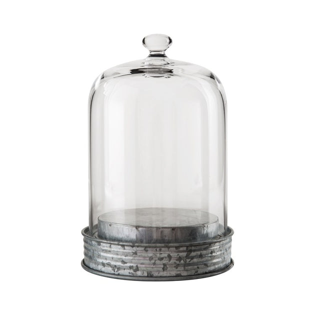 Oasis Small Botanical Cloche | Riverbend Home